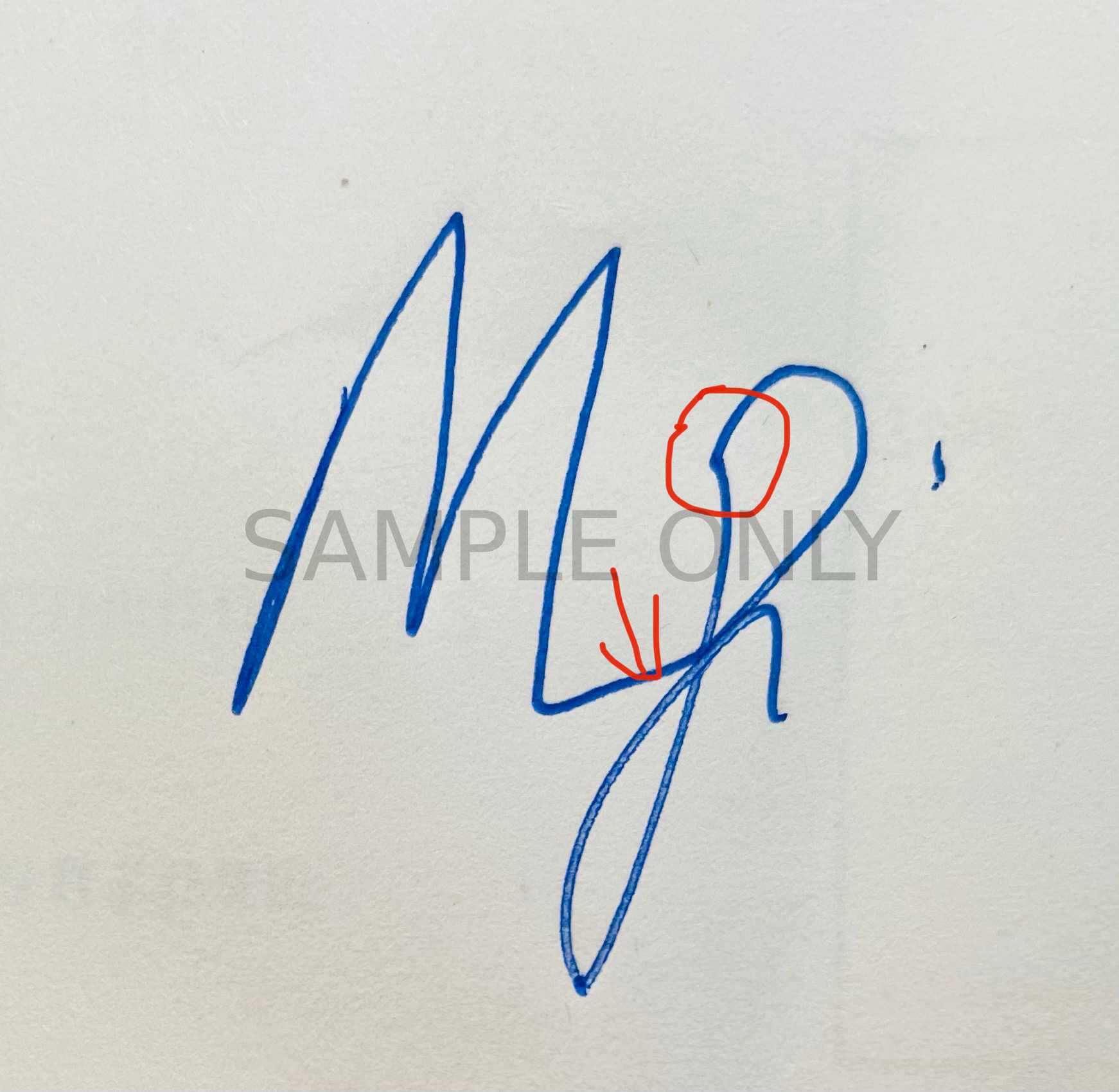 Stoppages and Tremors as Individual Characteristics in signature ...